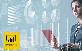 HR Analytics con Power BI - Professional Personal